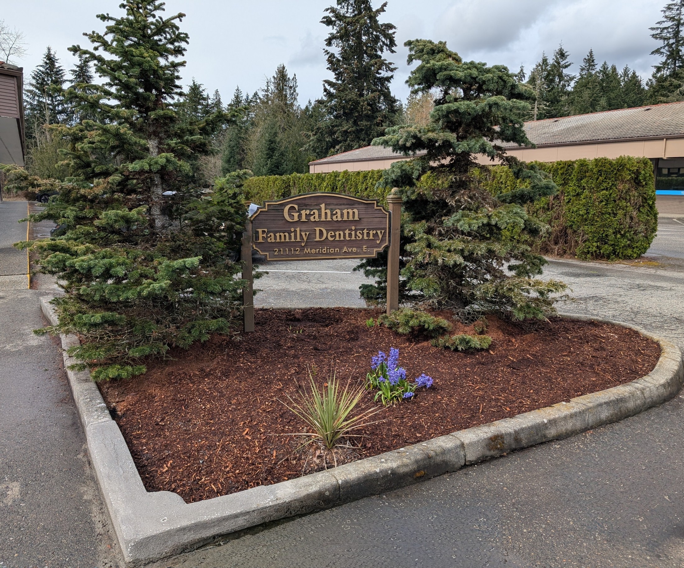 Dentist Graham Washington | Family Dentistry